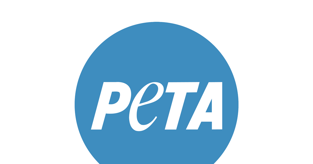 PETA announces $1m “Vegan Wool” prize | News briefs | Outdoor Industry ...