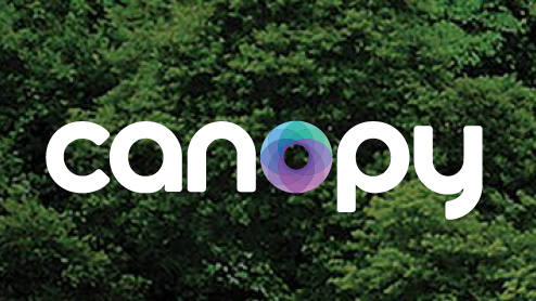 Canopy calls for $15bn investment to drive India’s sustainable fiber ...