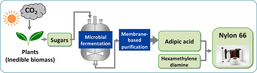 Toray announces renewable nylon 66 breakthrough | News briefs | Outdoor ...