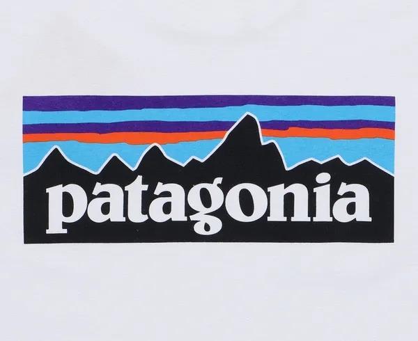 Patagonia takes legal action against lifestyle brand over logo dispute ...