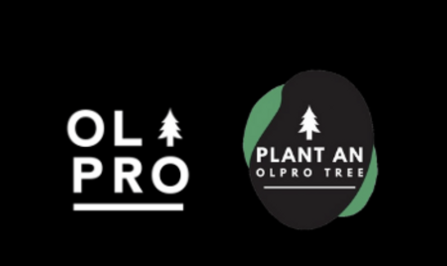 Olpro plants 10,000 trees to help combat climate change | News briefs ...
